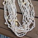 White Nassa Sea Shell Leis - 1 dozen - Seashell Necklaces - Beach ...