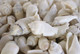 Small White Frog Shell - Bursidae - Craft Shells - Pound Bag