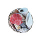 4 Inch Shell Basket - Assorted Craft Shells - California Seashell Company