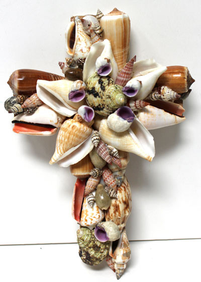 King Crown Conch Shell - Hermit Crabs Shells - California Seashell Company