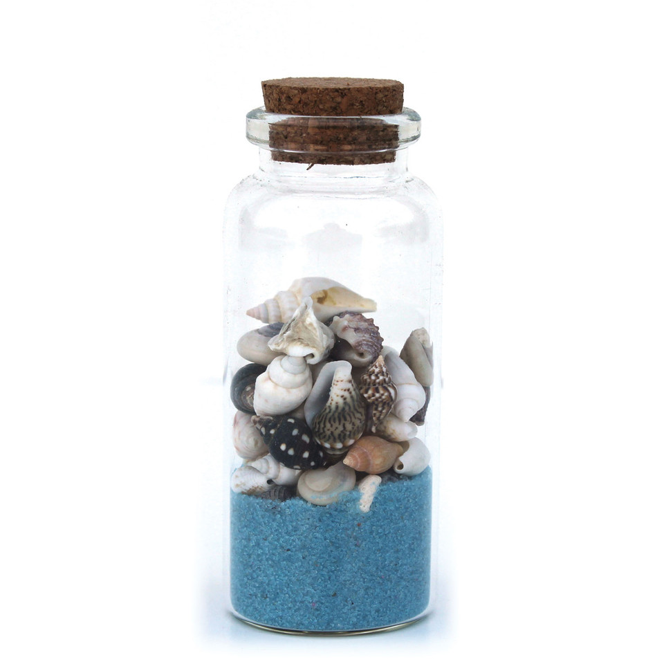Made in the USA Seashell Bottles - Beach in a Bottle - California ...