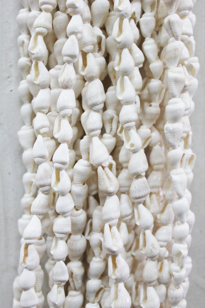 White Nassa Sea Shell Leis - 1 dozen - Seashell Necklaces - Beach ...