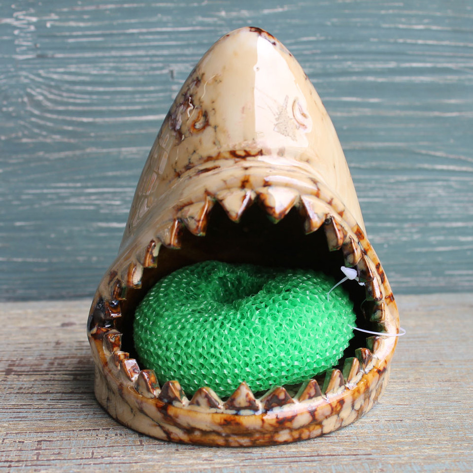 Authentic Shark Jaw - California Seashell Company