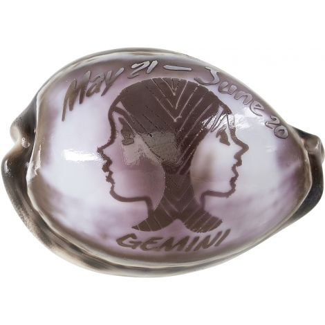 Zodiac Sign Carved Cowrie Seashells - Cowry Shells - California ...