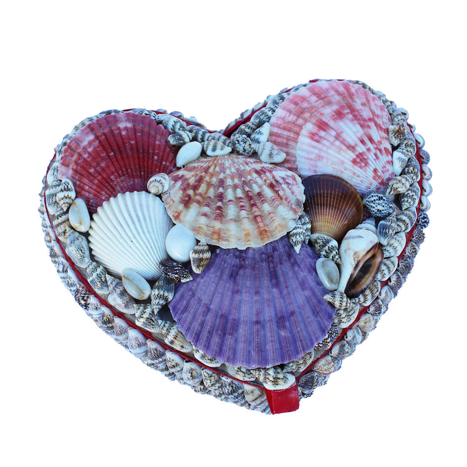 Sea Shell Boxes • Nautical Treasure Chests - California Seashell Company