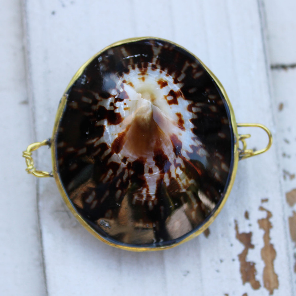 Seashell Decor - Shell Coin Purses - California Seashell Company Retail