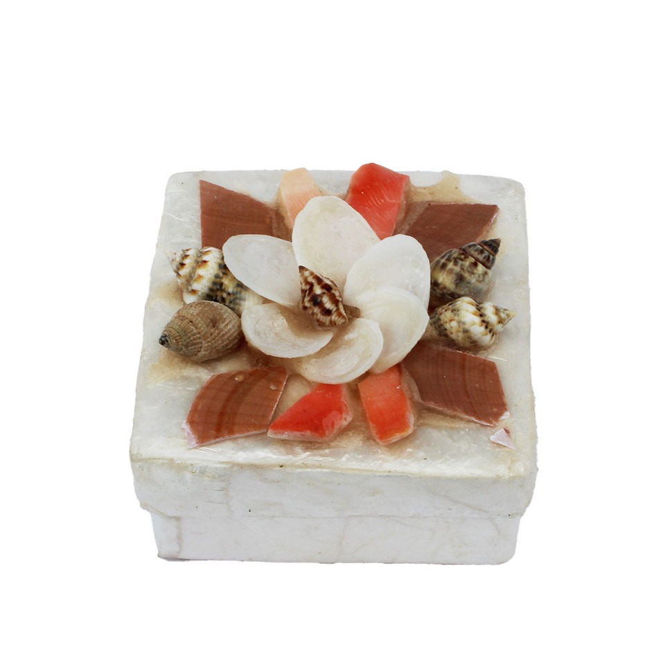 Sea Shell Boxes • Nautical Treasure Chests - California Seashell Company