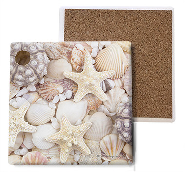 Seashells Collage Absorbent Beverage Coaster - California Seashell Co