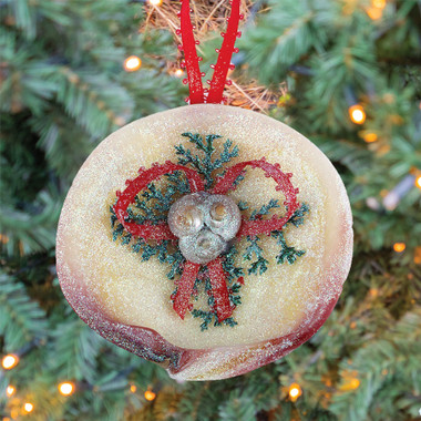 Tegrina Clam Shell Evergreen Ornament - California Seashell Company Retail