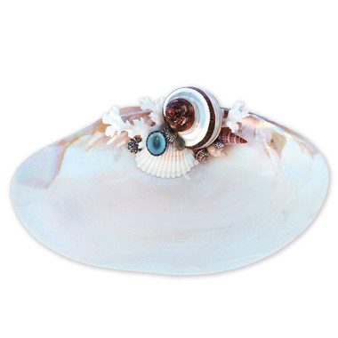 Hand-Crafted Large Oyster Ring Dish with Petholatus Banded Turbo ...