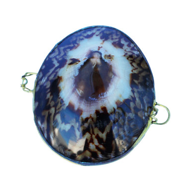 Limpet Shell Coin Purse - Tropical Party Favors - California Seashell ...