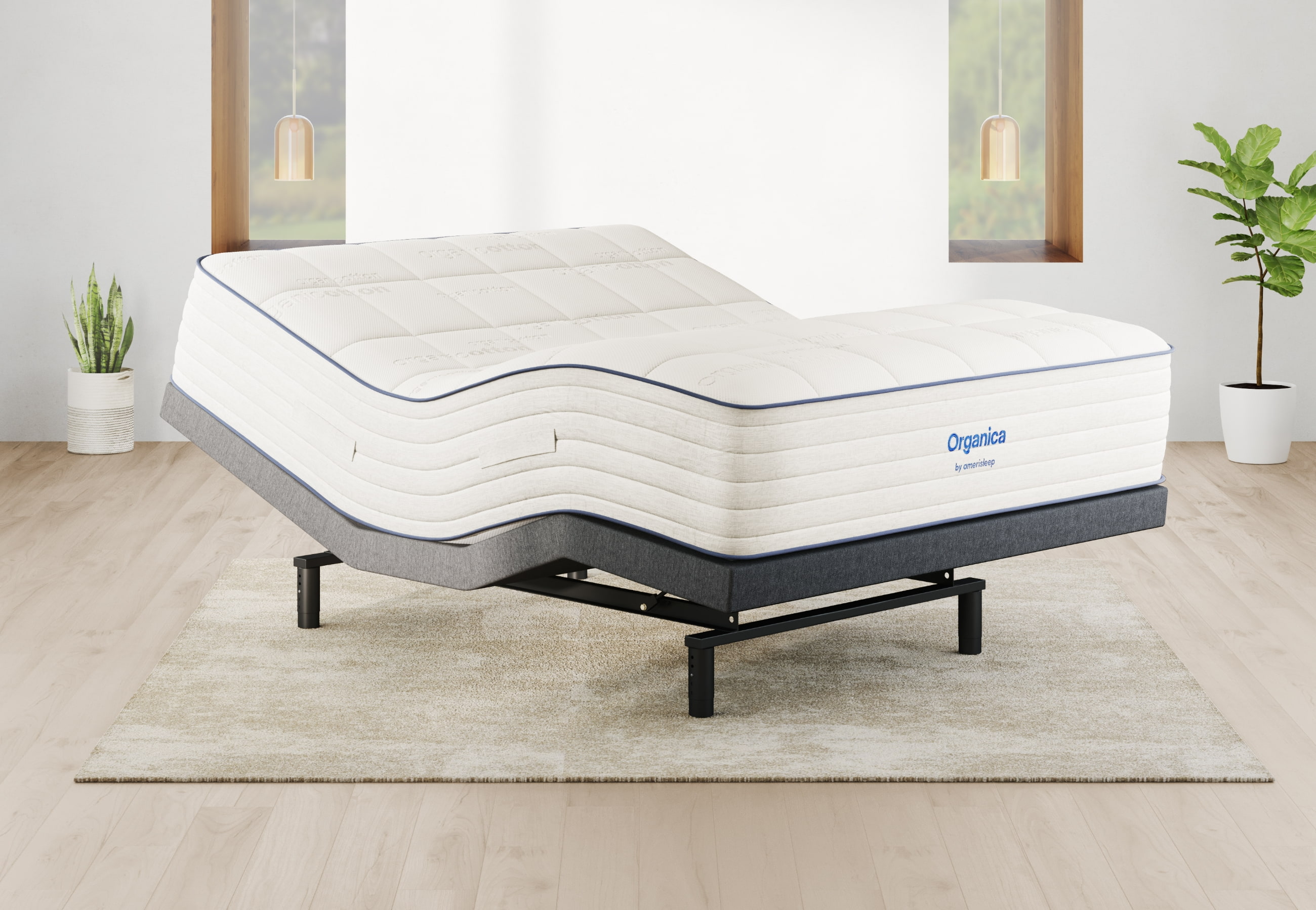 Organic adjustable mattress store