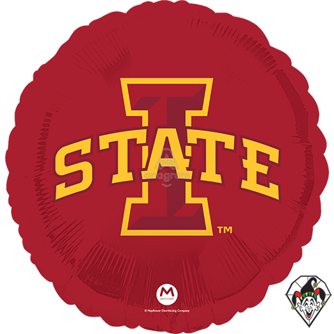 18 Inch Circle Iowa State Foil Balloon Anagram 1ct