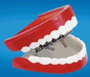Jokes & Novelties Jokes Chattering Teeth Large