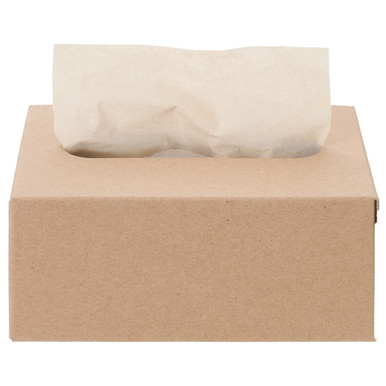 Kraft Tissue Box S | MUJI