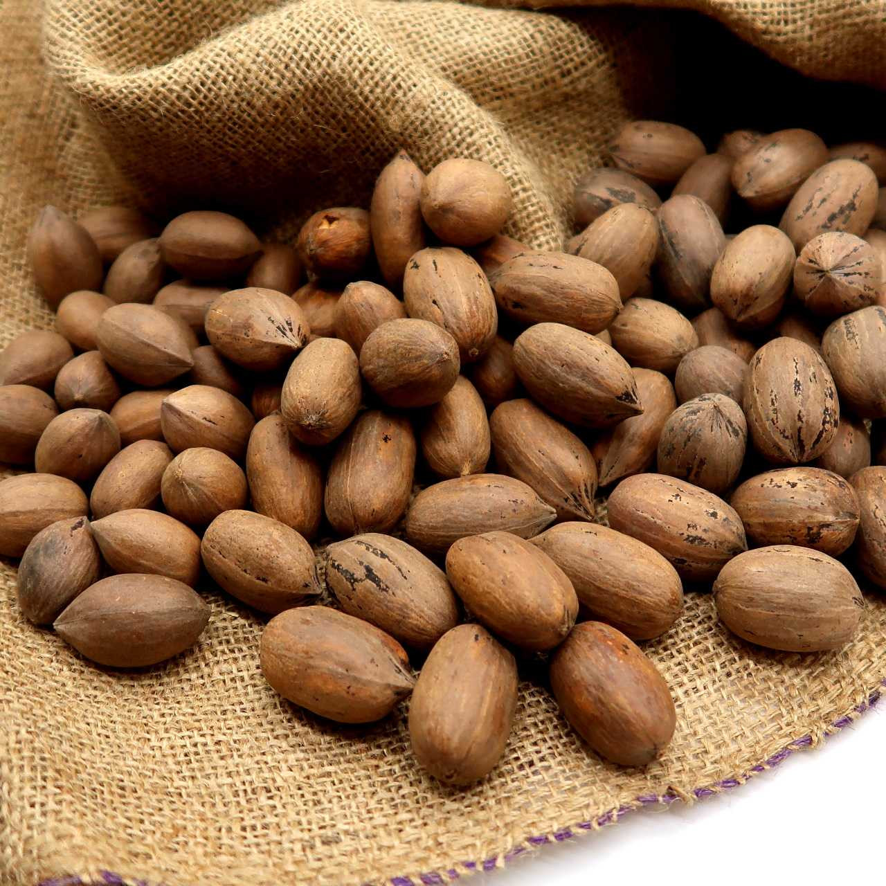 Whole Paper Shell Pecans by the pound - The Nut House