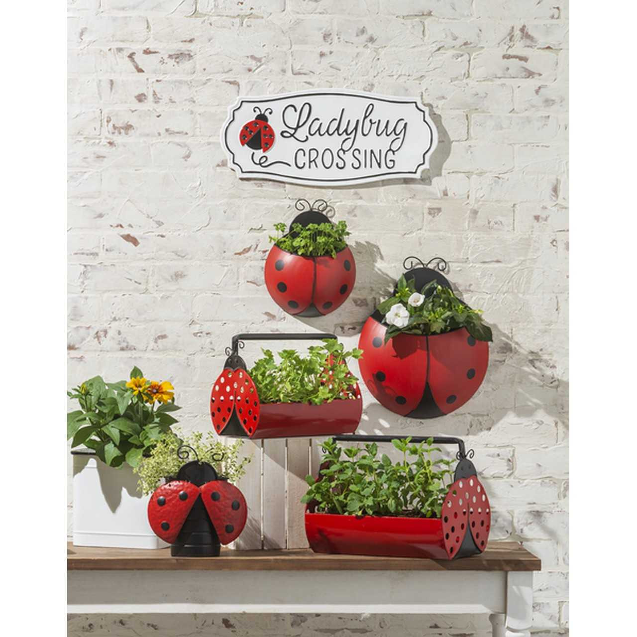 Ladybug Wall Planter Set Exclusive at the Nut House