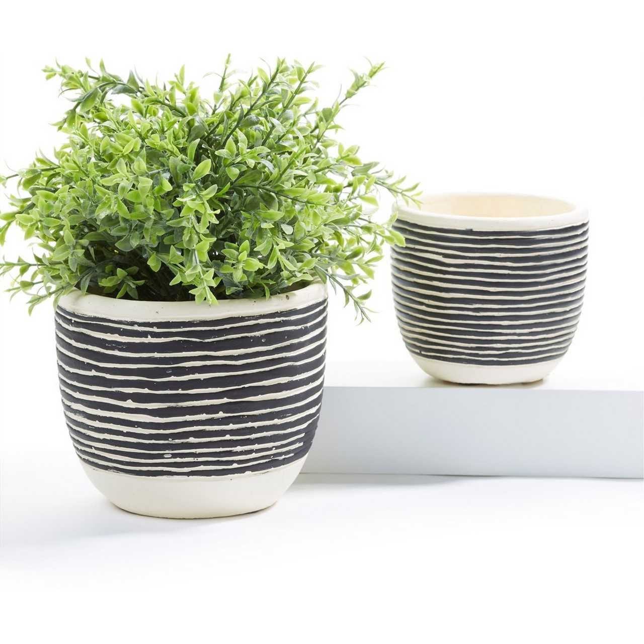Spotted Textured Planter Set of 2 at the Nut House