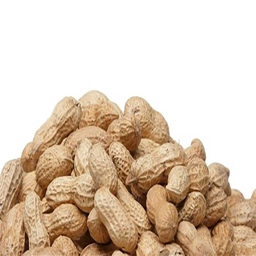 Roasted and Salted In Shell Peanuts 2 lbs - The Nut House