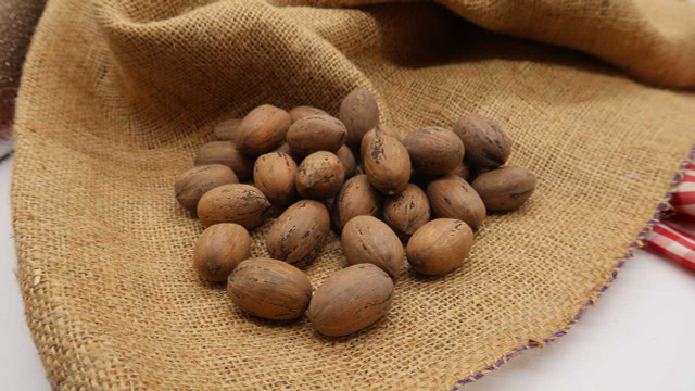 Whole Paper Shell Pecans by the pound - The Nut House