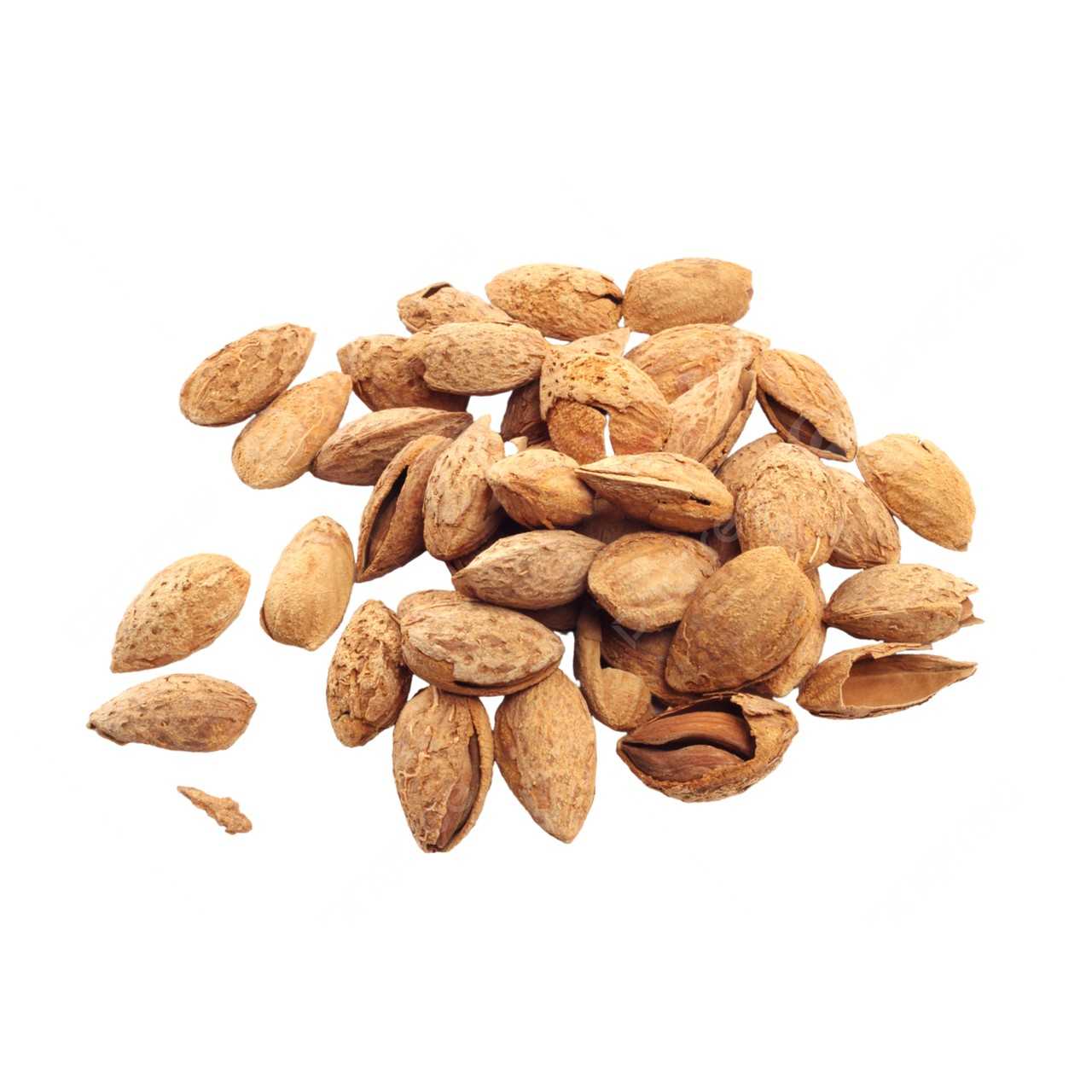 almond nut shell