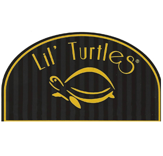 Lil Turtles: Adorable & Fun Toys for Kids
