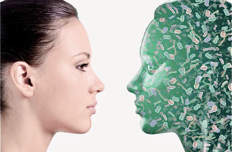 Skin Microbiome: Essential in Skincare - Uncover with Invity - Invity