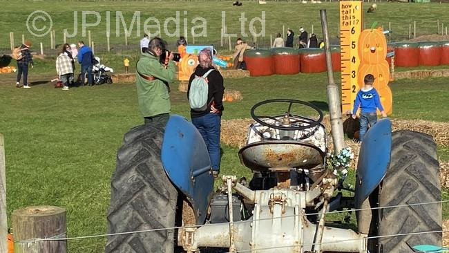 39597645-Tweddle Animal Farm, Blackhall Colliery. Picture by FRANK REID ...
