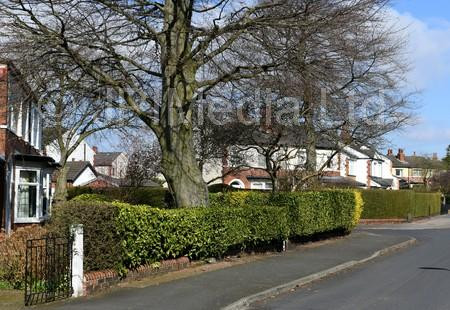 38929801-Houses in Whitkirk, Leeds stock - National World | Newsprints