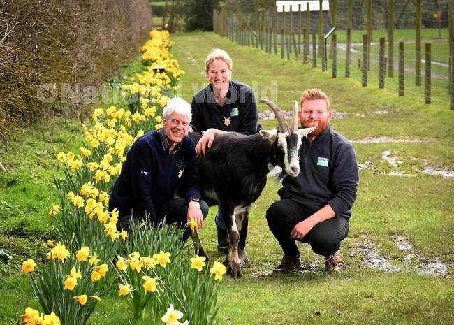 39689322-Monk Park Farm, Moor Lane, Bagby. Pictured from the left are ...