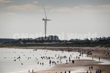 Can You Take Dogs On The Beach At Bridlington