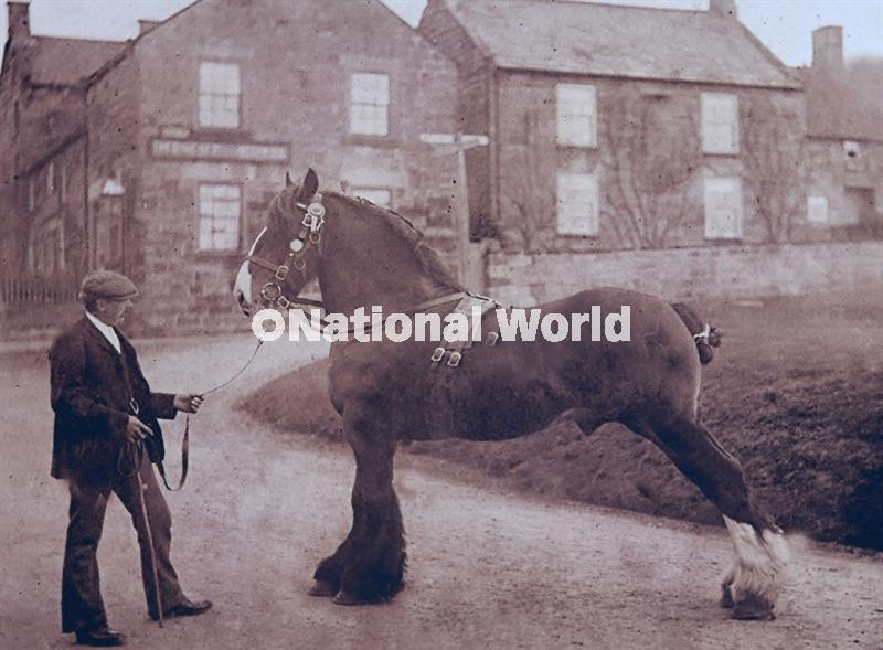 39839202-Jack Farrow the Grandfather of Wendy Underwood pictured with a ...