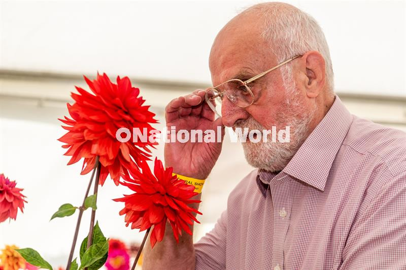 39857032-Penistone Agricultural Show 2023. Pictured National show judge ...