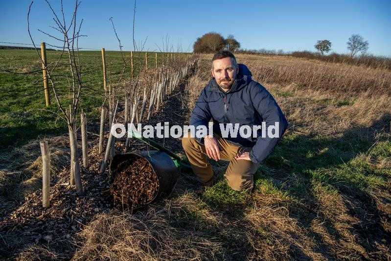 39918821-Environment manager Chris Harrap adds wood bark mulch at the ...