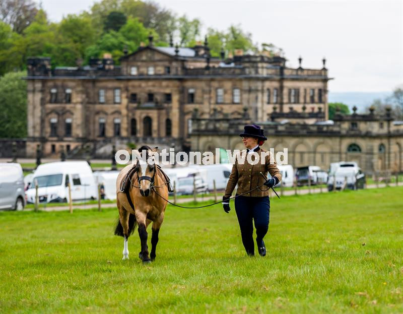 39965155-Duncombe Park Country Fair 2024, at Helmsley, North Yorkshire. Pictured Beth Nicholson ...