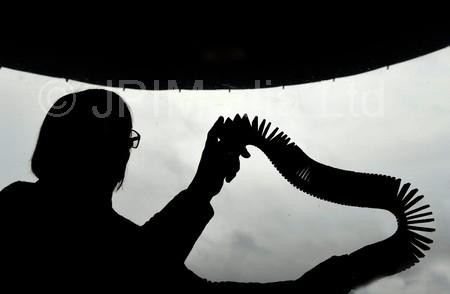 39204786-Jane Insa with a Sasara a ritual Japanese percusssion ...