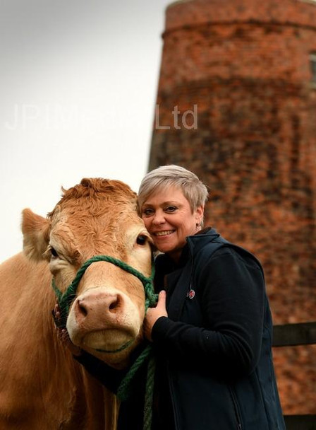 39619246-Kate McNeil cuddles a British Blonde Cow at Wrancarr Mill ...