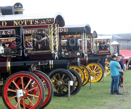 39075434-A line up of traction engines at Whitby Abbey at the Whitby ...