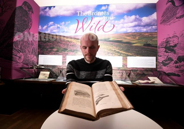 39655190-New Exhibition â€˜The BrontÃ«s and the Wildâ€™, will run ...