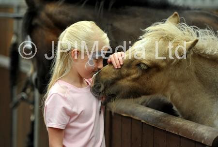 38510161-Photo Neil Cross Family fun day at Penny Farm, World Horse ...