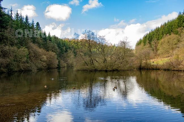 39663693-Dalby Forest featured in a Channel 5 series Secret Life in the ...