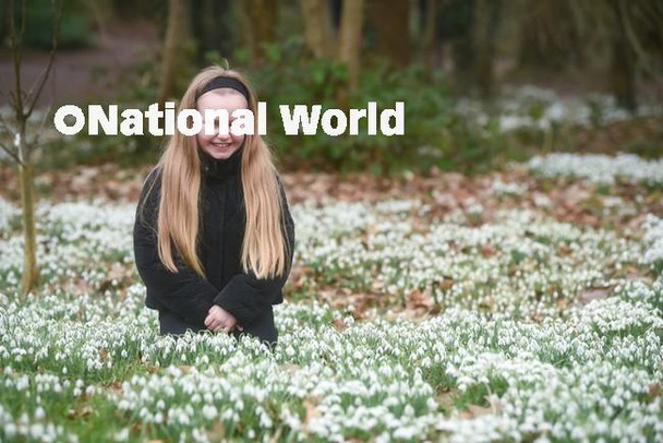 39658202-Snowdrops at Lytham Hall. Pictured is Katie Schofield, 9 ...