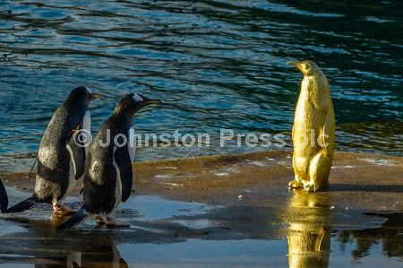 32045698-Edinburgh UK Nov 25 2015; Christmas Penguin Festival takes ...