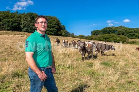 39546389-Date: 24th August 2022. Picture James Hardisty. Country Week ...