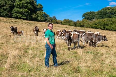 39546390-Date: 24th August 2022. Picture James Hardisty. Country Week ...