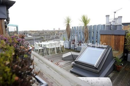 23632350-Fiona Duff, 8 Maritime Street, Loft 15, Leith. Roof garden - National World | Newsprints