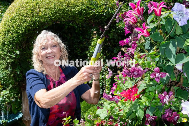 39826472-Jacqueline Wilson-Hoyle who suffers from Multiple Myeloma ...