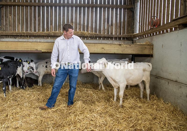 39832463-Brothers Ben and Andrew Walker at Coppy Hill Farm at Laycock ...