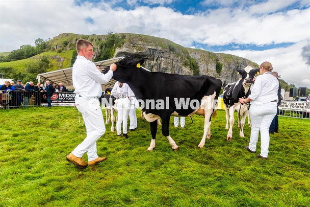 39850478-Kilnsey Show, Upperwharfedale Agricultural Society. Pictured ...