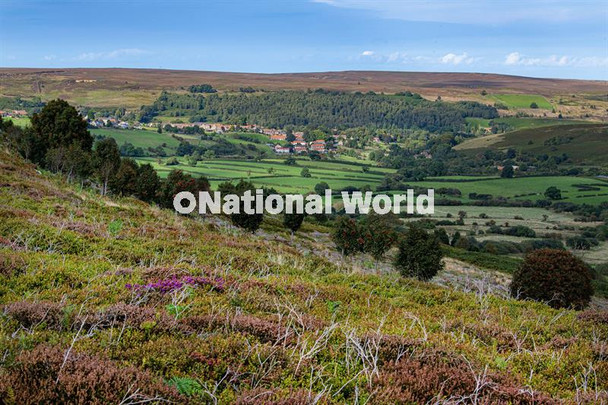 39859626-Castleton in the North York Moors National Park photographed ...